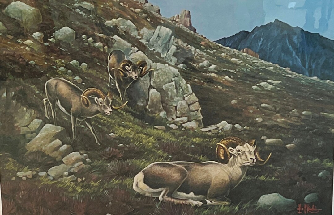 Les Kouba Stones in the Kechika Range S/N Stone Sheep Art Print-24 X 17 ...