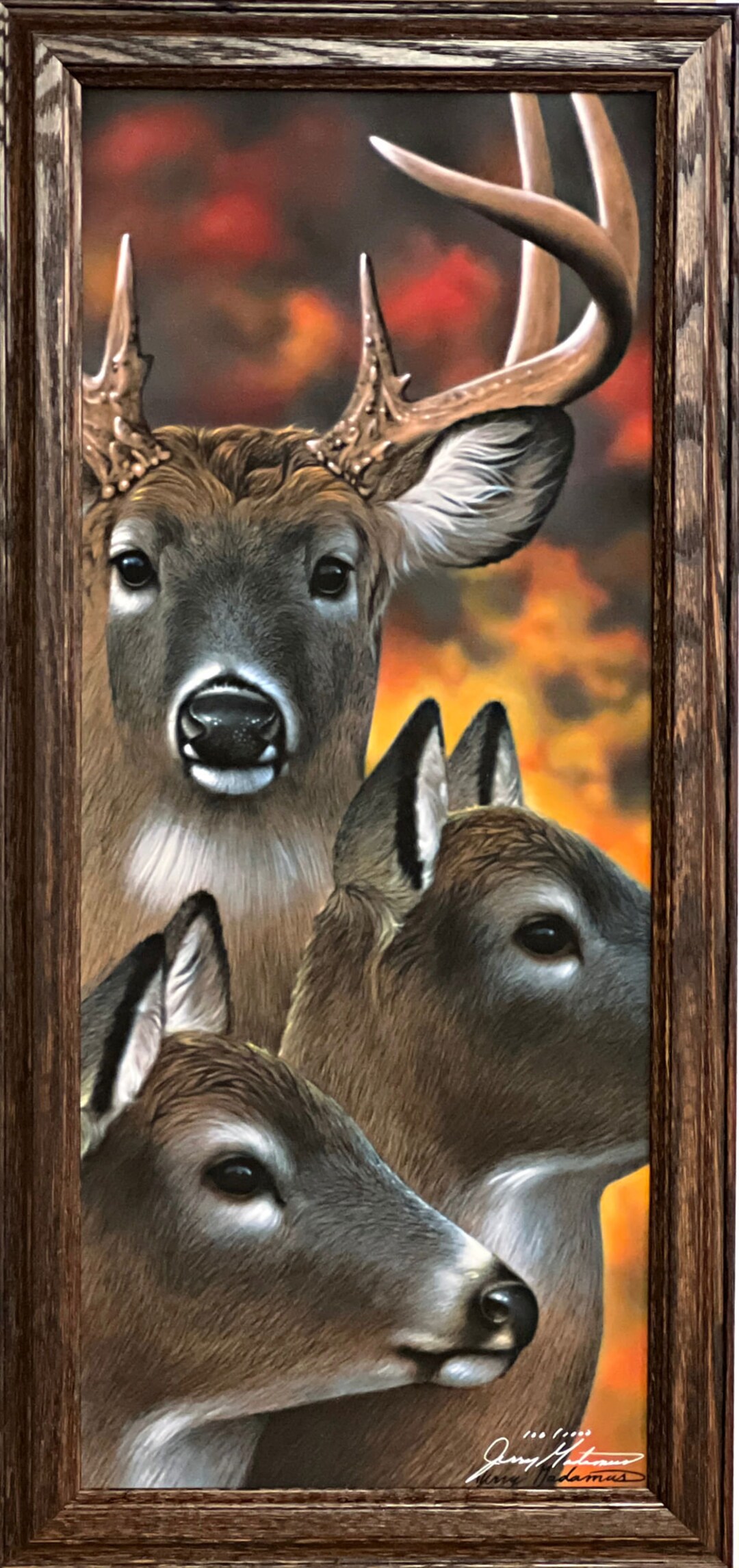 Jerry Gadamus Trio Deer Buck Art Print-framed 12.5 X 26.5 - Etsy