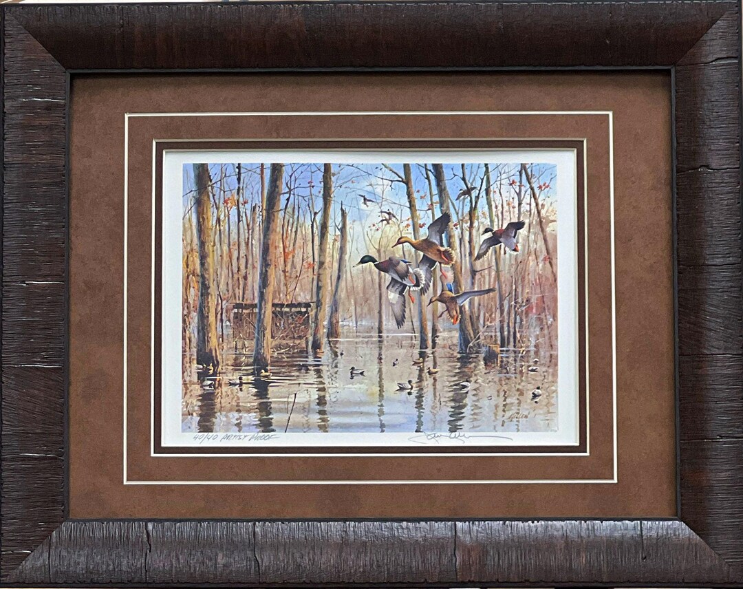 Jim Killen Green Timber Blind Mallard Art Print-framed 19 X 15 - Etsy