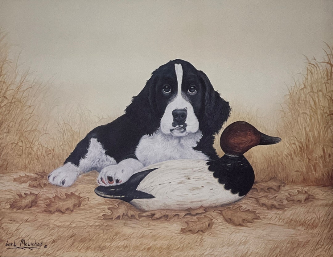 Carl Melichar Springer Puppy With Mason Decoy S/N Art Print 15 X 11.25 ...