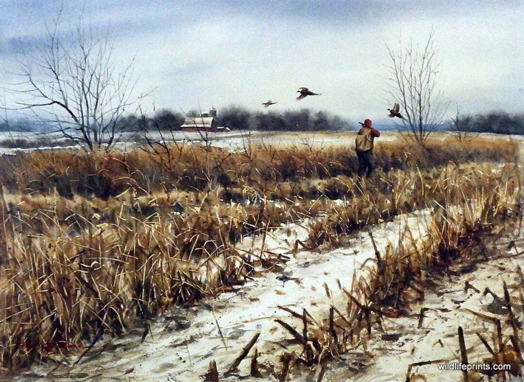 Two of Em Pheasant Hunting Print by Noel Dunn Signed and Numbered 21.5 ...