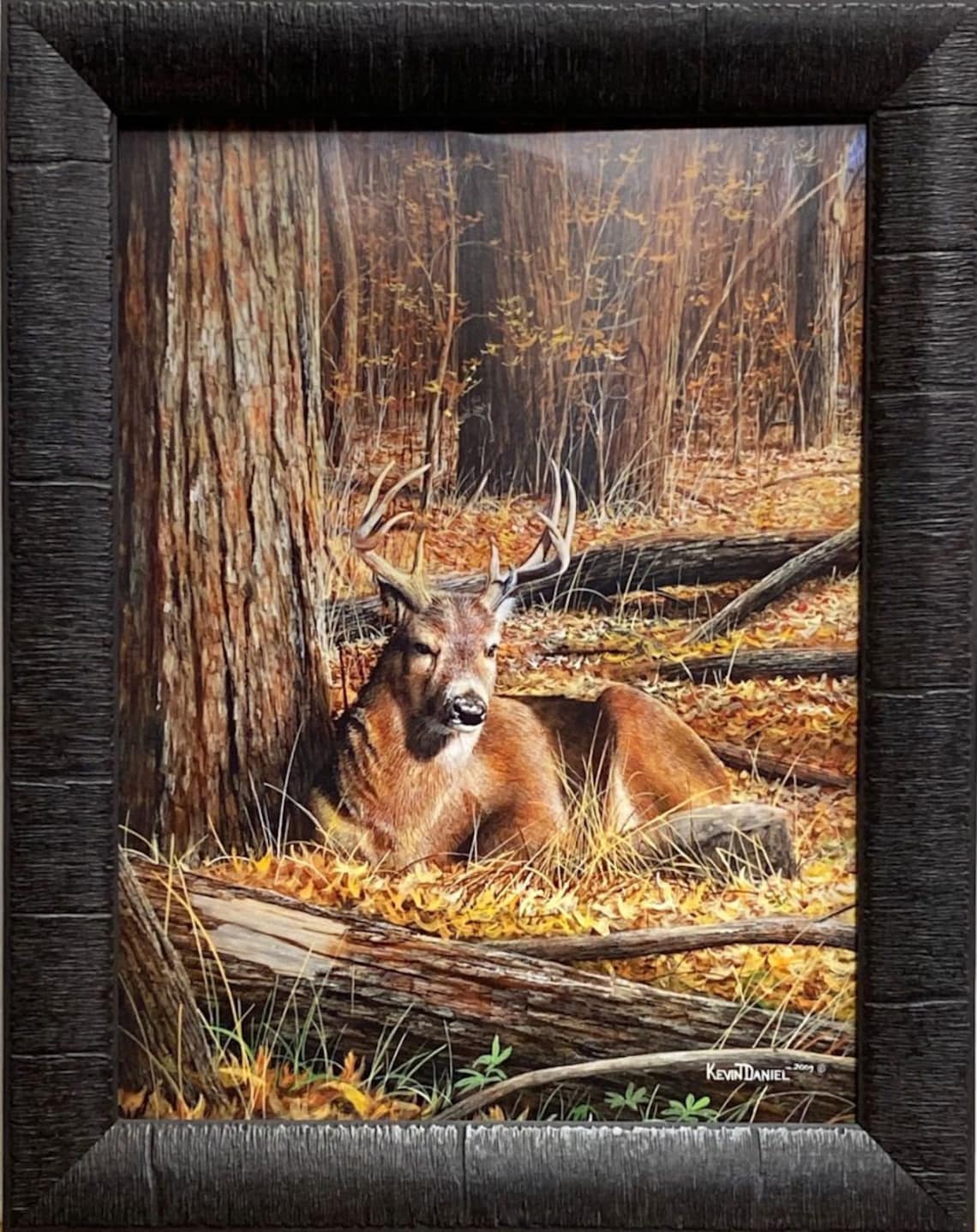 Kevin Daniel Bedding Down Deer Buck Art Print-framed 15 X 19 - Etsy