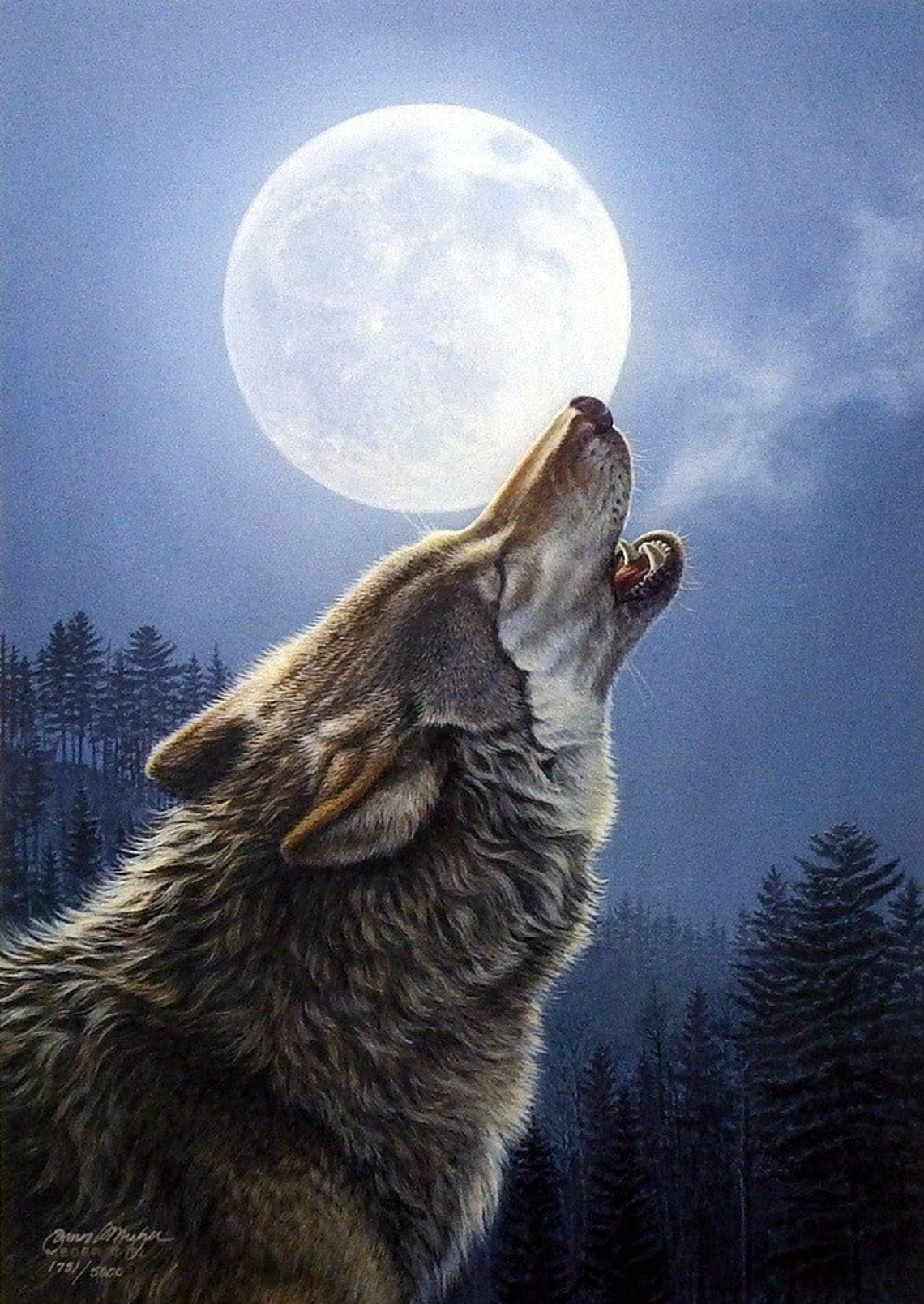 James Meger Night Music - 16.25"x24" S/N Wolve Art Print - Etsy