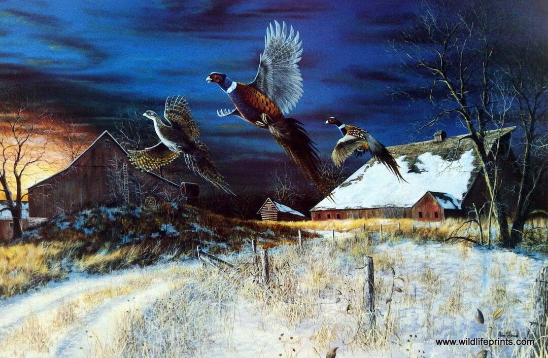 Jim Hansel " Homestead" Pheasant Farm Art Print Artists Proof 27" X 18 ...