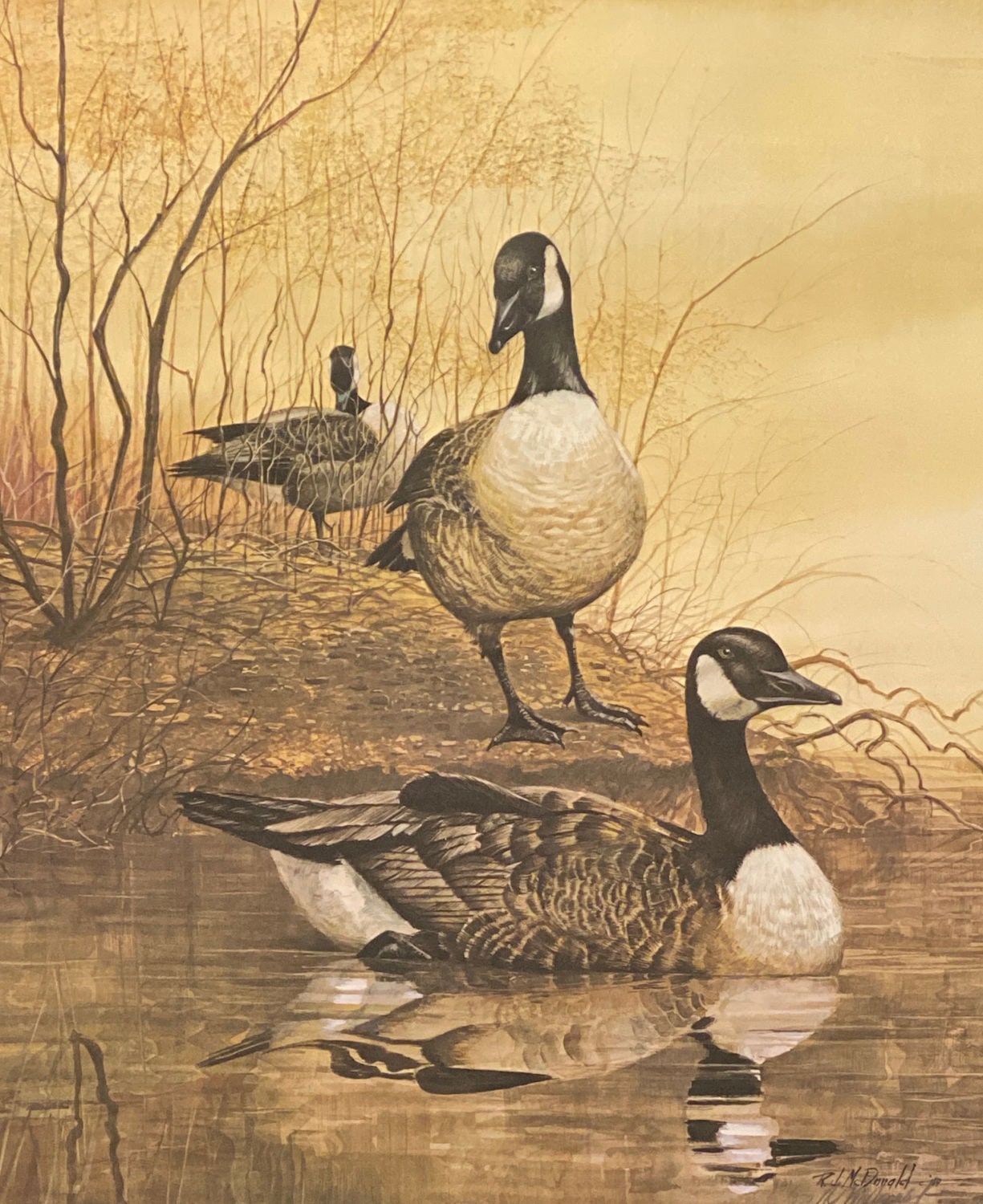 R.J. Mcdonald Gabby's Farm Candian Honker Art Print 18.5 X 21.5 - Etsy