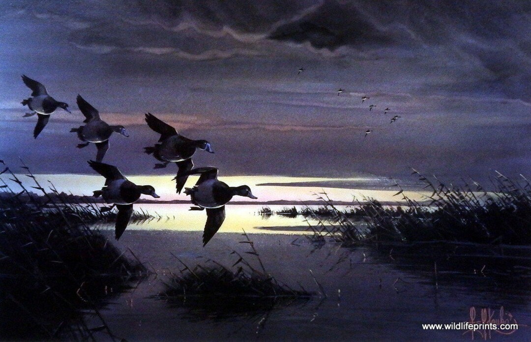 Les Kouba Early Print Duck Print 23 X 15 - Etsy