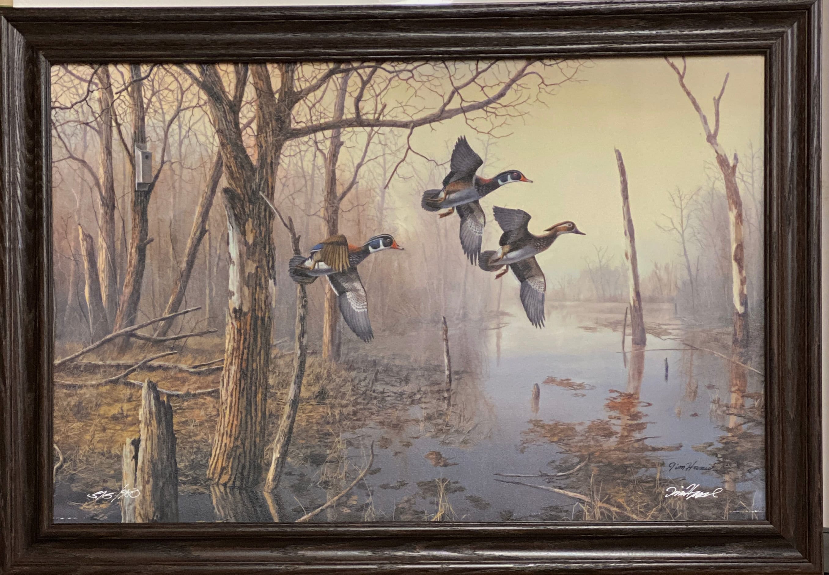 Jim Hansel Backwaters Wood Duck Art S/N Print-framed (wood) 33 X 23 - Etsy