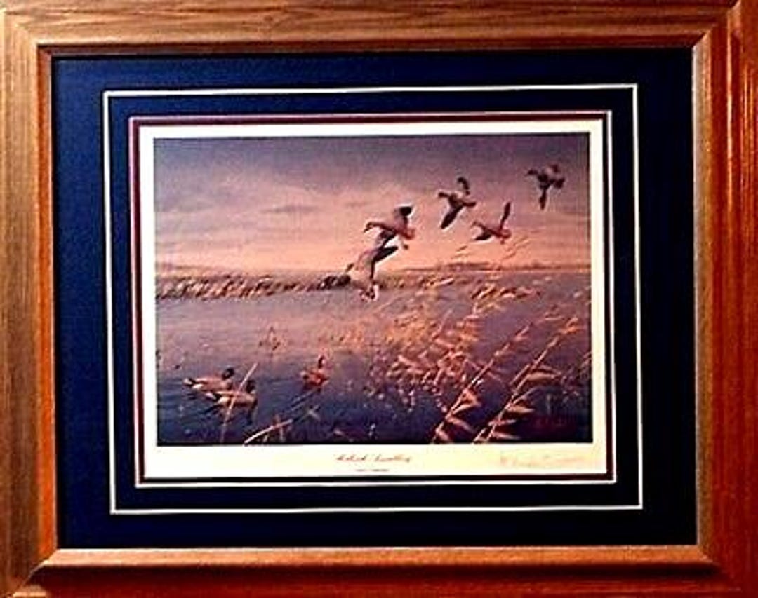 Les Kouba Framed S/N Print-mallards ASSEMBLING 21 X 17 - Etsy