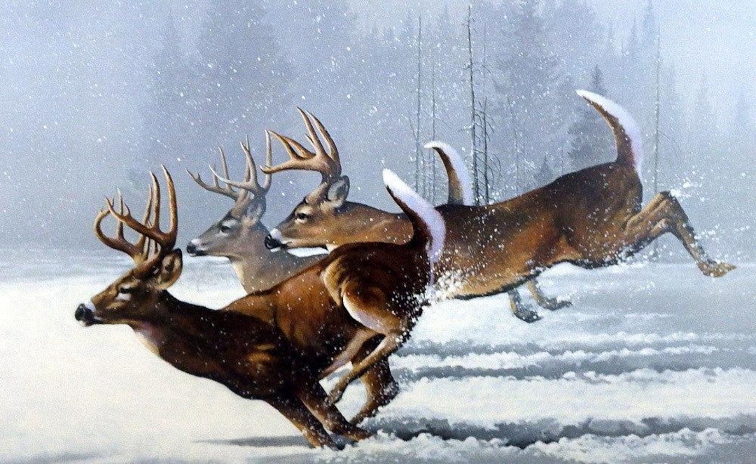 Phillip Crowe "once in a Lifetime" Deer SN Print With Certificate 33" X ...