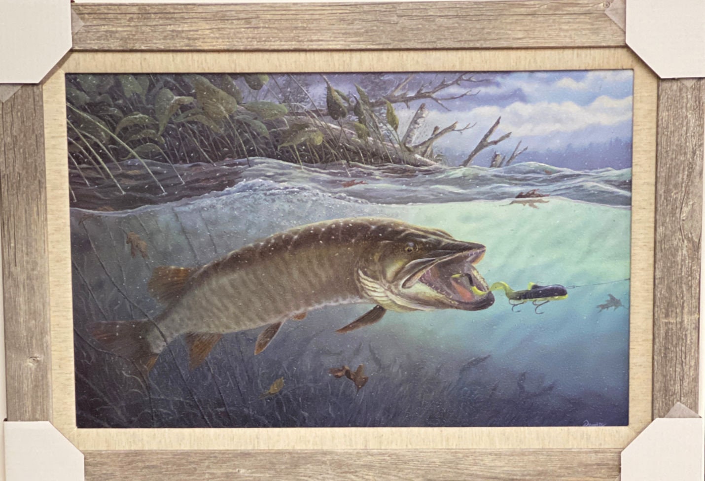 Muskie Paintings