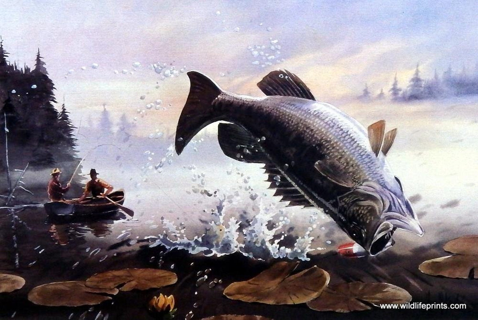 Bass A.M. Art Fishing Print by Les Kouba Signed and Numbered - Etsy