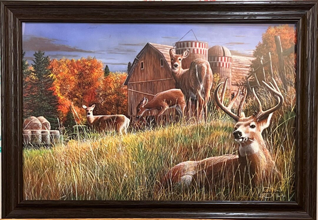 Kevin Daniel Autumn Respite Buck Deer S/N Art Print-framed 33 X 23 - Etsy
