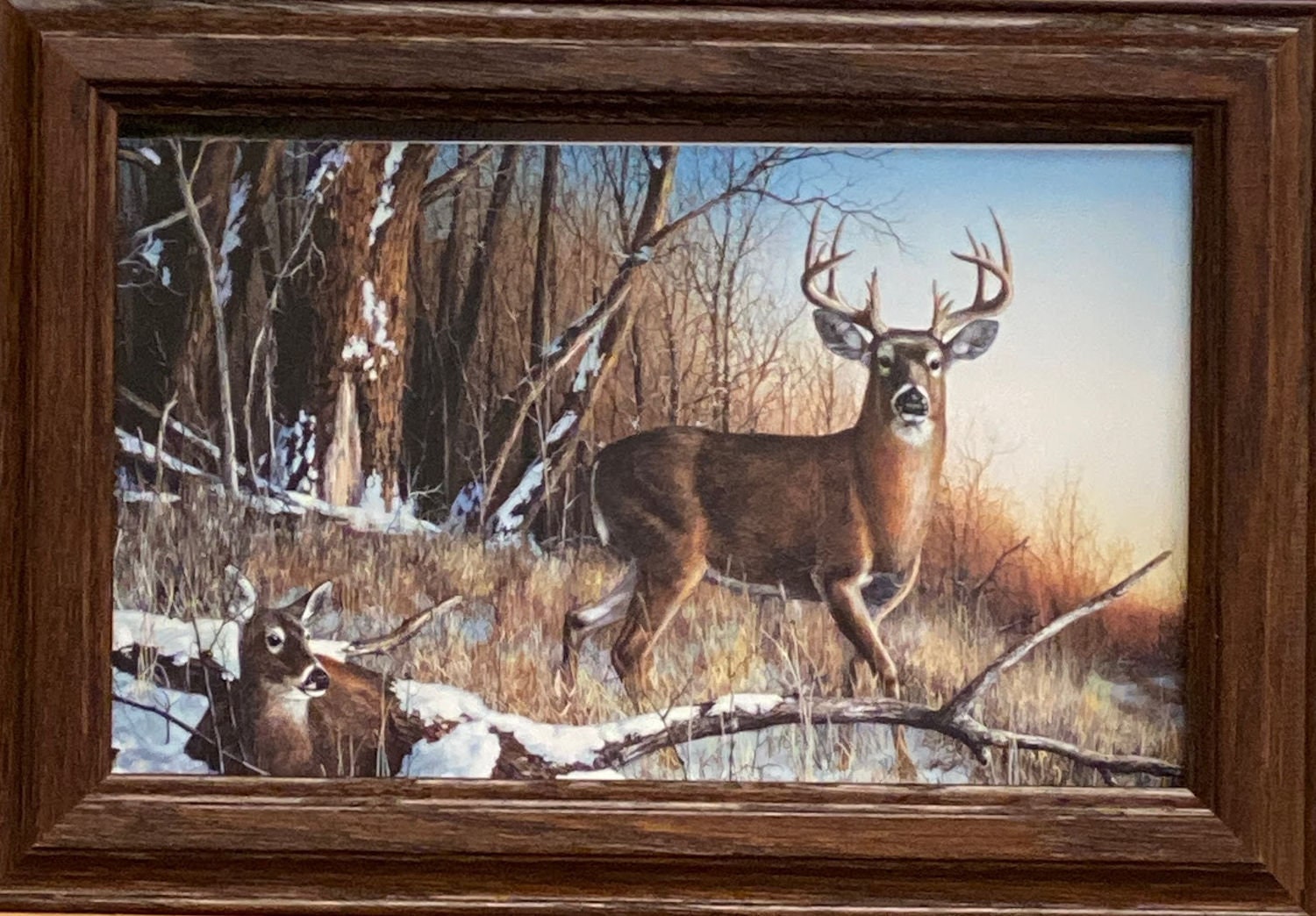 Jim Hansel "resting Place" Deer Buck Decorator Print-framed 14.5" X 10 ...