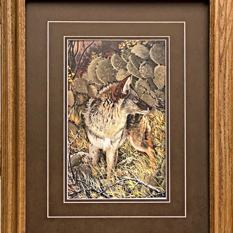 Coyote Art - Etsy