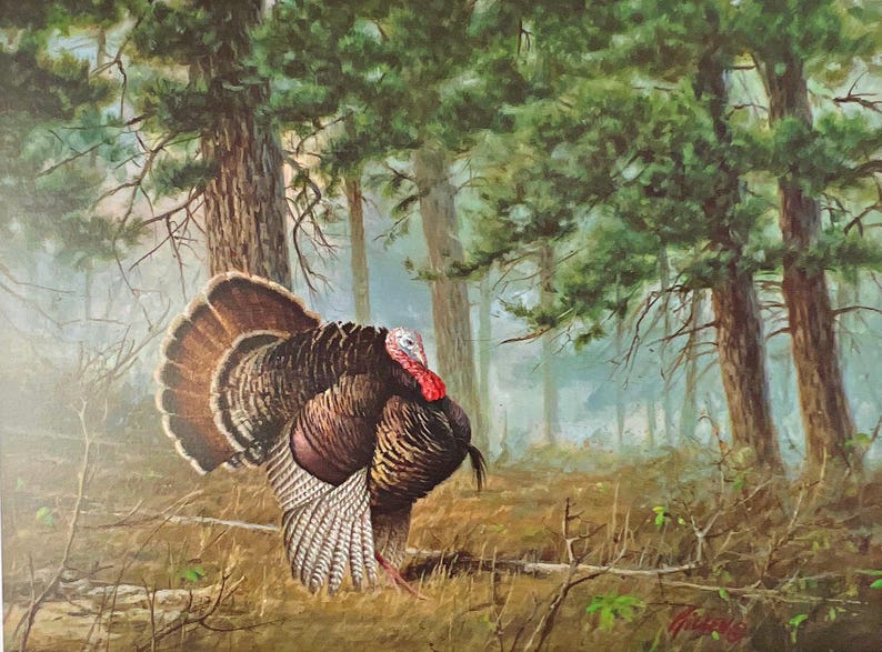 Jim Killen A/P Turkey Print Target 2000 Pine Ridge Gobbler National ...