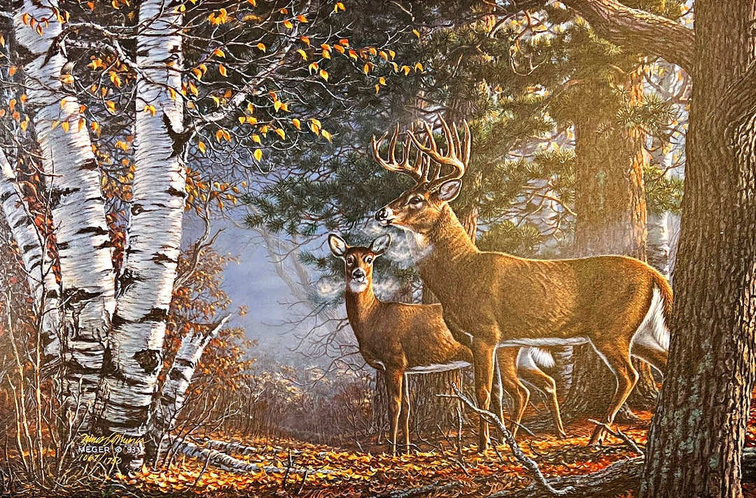 James Meger S/N Cold Snap (24 X 16) - Etsy