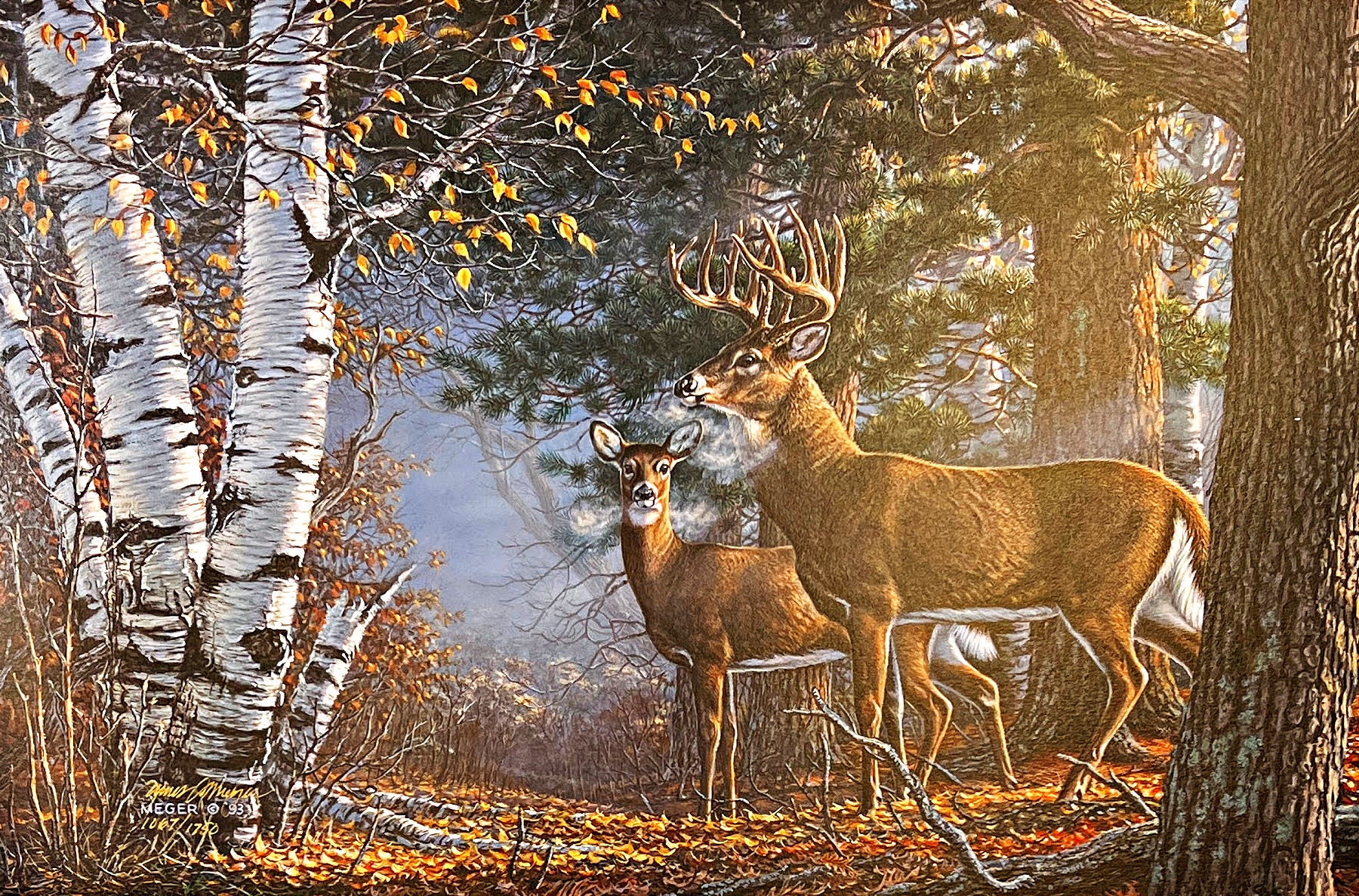 James Meger S/N Cold Snap 24 X 16 - Etsy