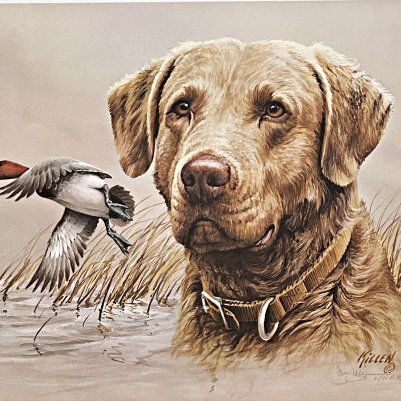 Sporting Dog Art - Etsy