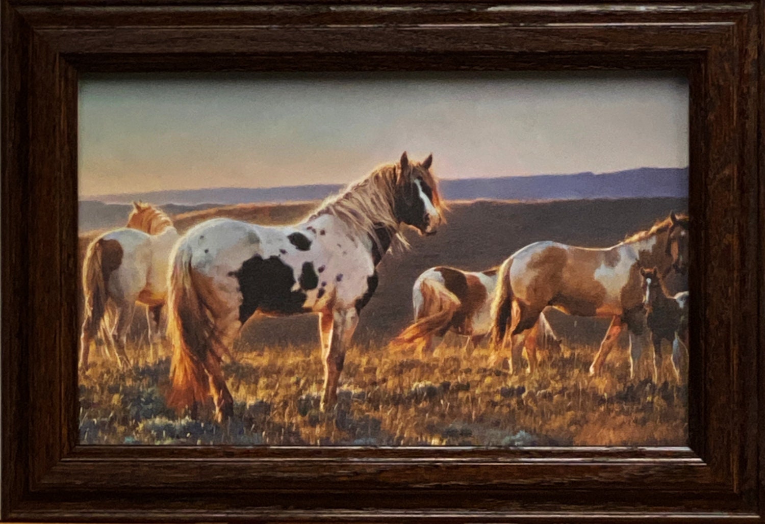 Nancy Glazier Welcome the Dawn Horse Art Print-framed 14.5 X - Etsy