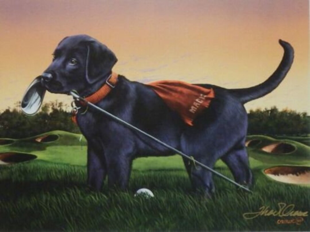 Phillip Crowe the Caddy Lab Puppy Golfing- 12 X 9 Print Signed - Etsy