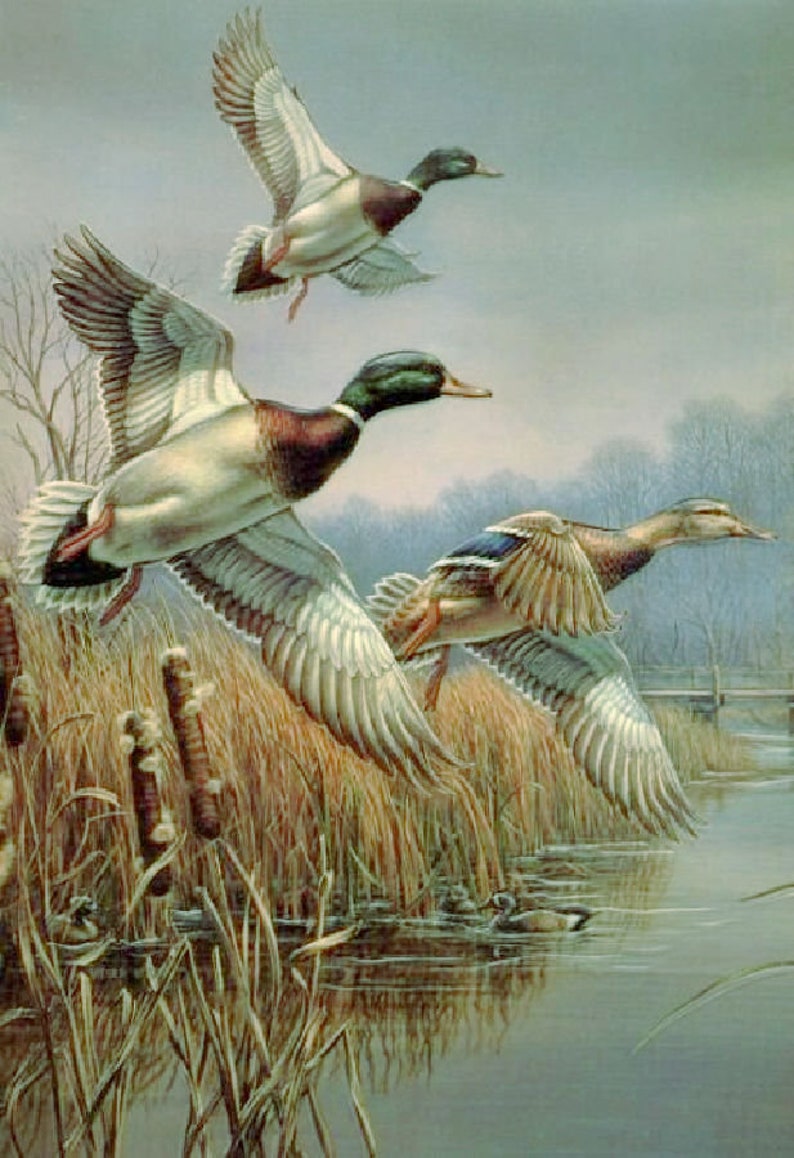 James Meger Coming Home Mallard Ducks Art Print 18 X 22.5 - Etsy