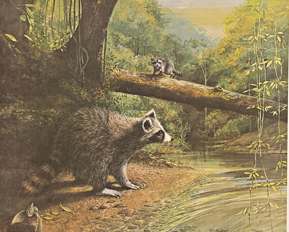 Ralph Mcdonald Signed/numbered Art Print Cahaba 'coon With | Etsy