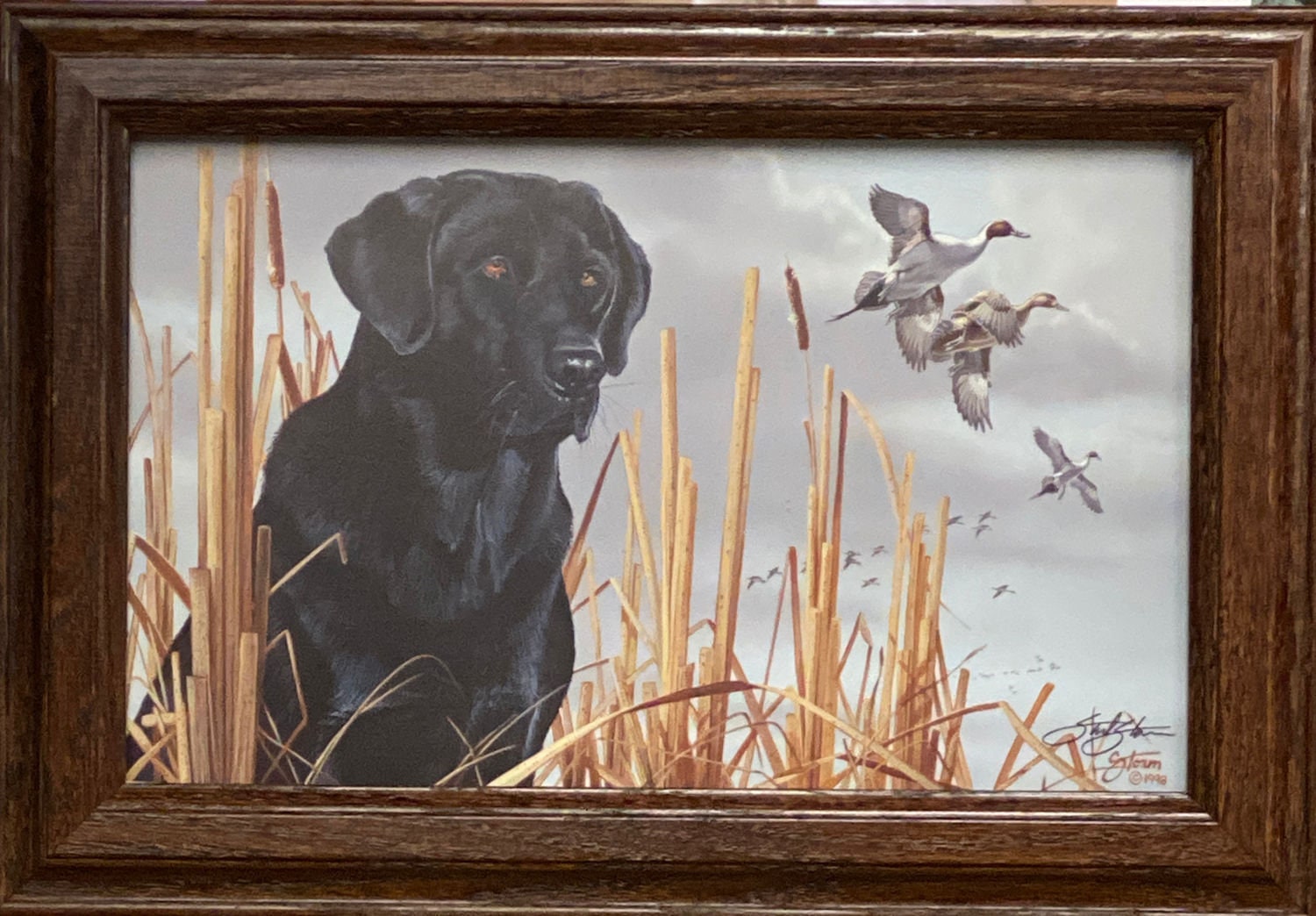 Are Black Labradors Protective