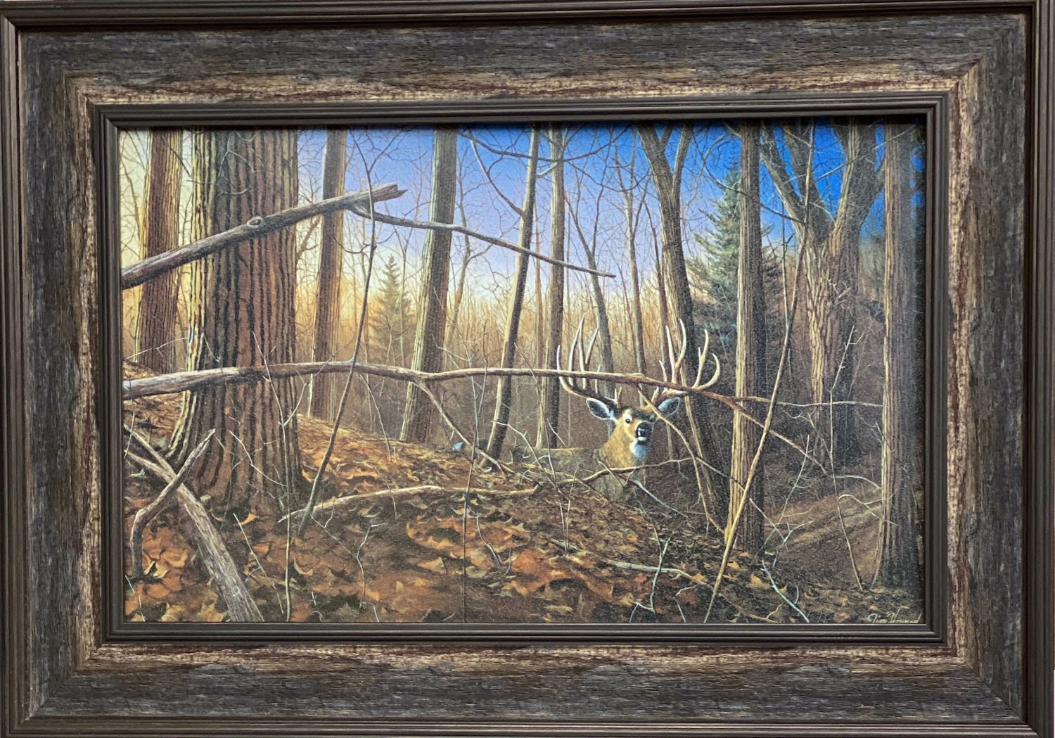 Jim Hansel Under Cover Deer Buck Art Print-framed 27 X 19 - Etsy