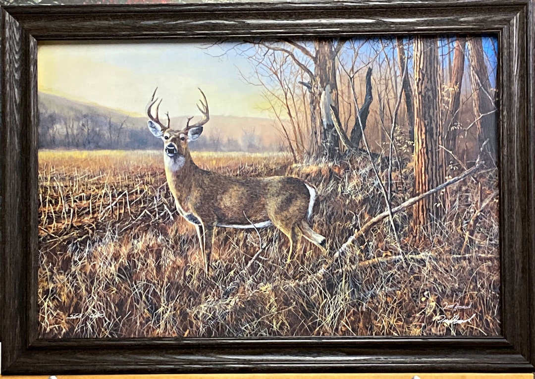 Jim Hansel Bluff Country Buck Deer Art Print-framed (wood) 33 X 23 - Etsy