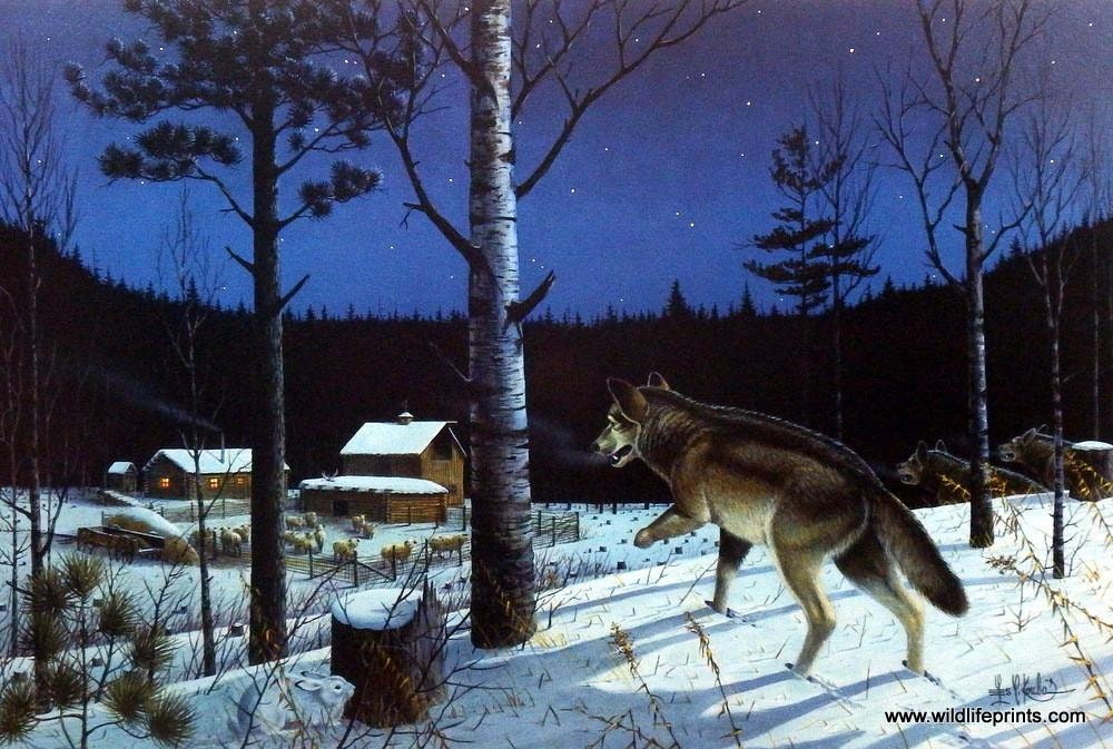 Les Kouba Old Three Legs - Wolf Art Print 24"x16"- Signed and Numbered ...