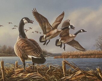 Canada Geese Art | Etsy