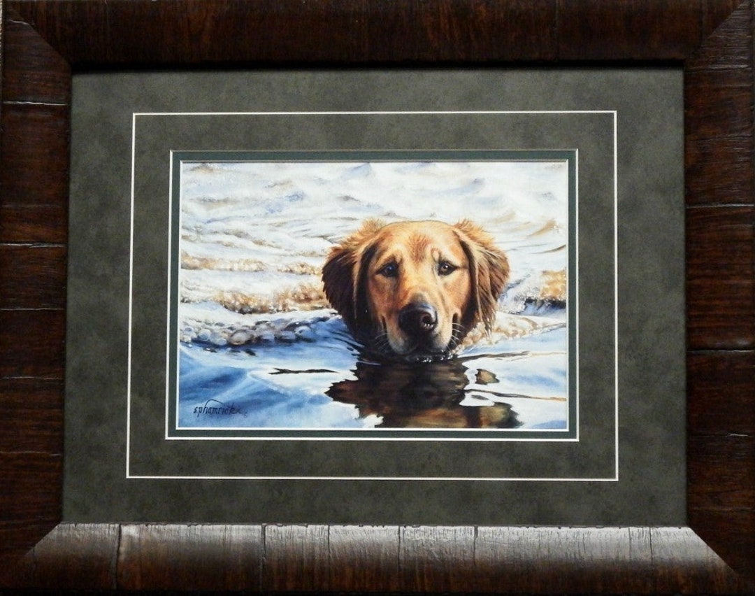 Steve Hamrick Birds Eye II Dog Art Print-framed 19 X 15 - Etsy