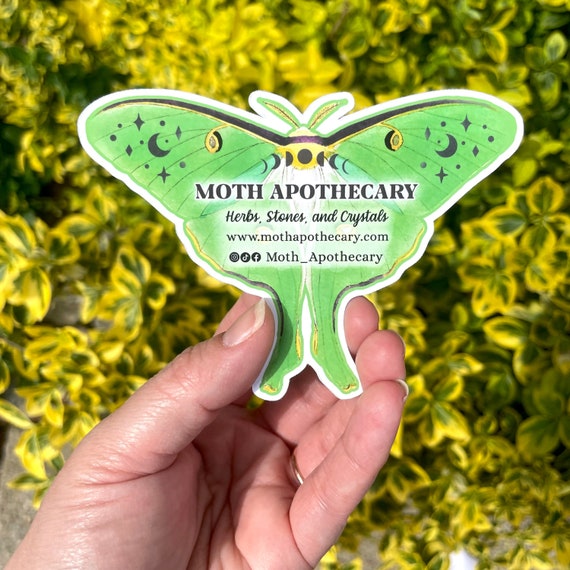 Moth Business Card Tussock Caterpillar Moths In Florida