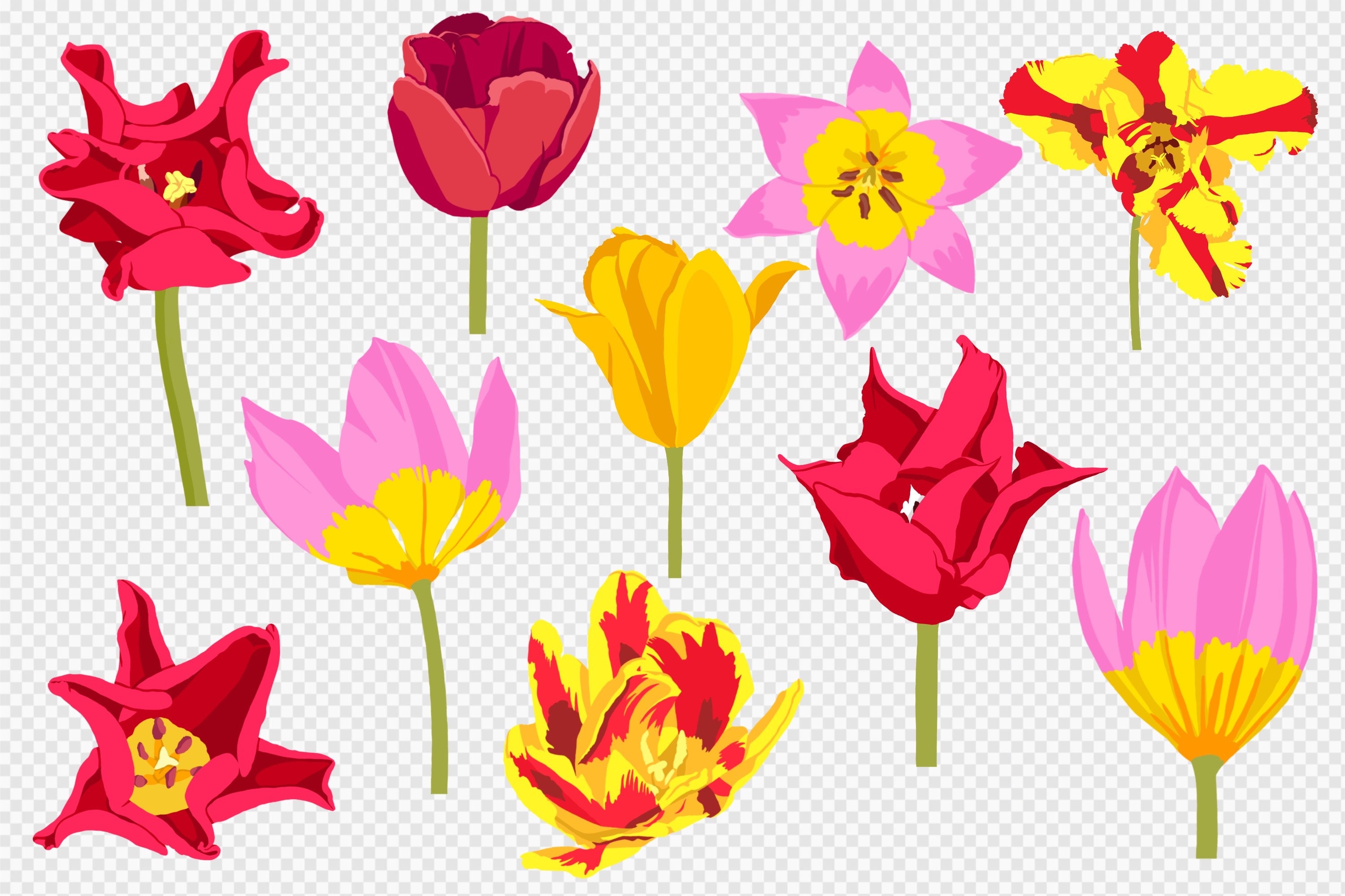 Tulips Clipart Spring Flowers PNG Cartoon Tulips Floral Clipart Simple ...
