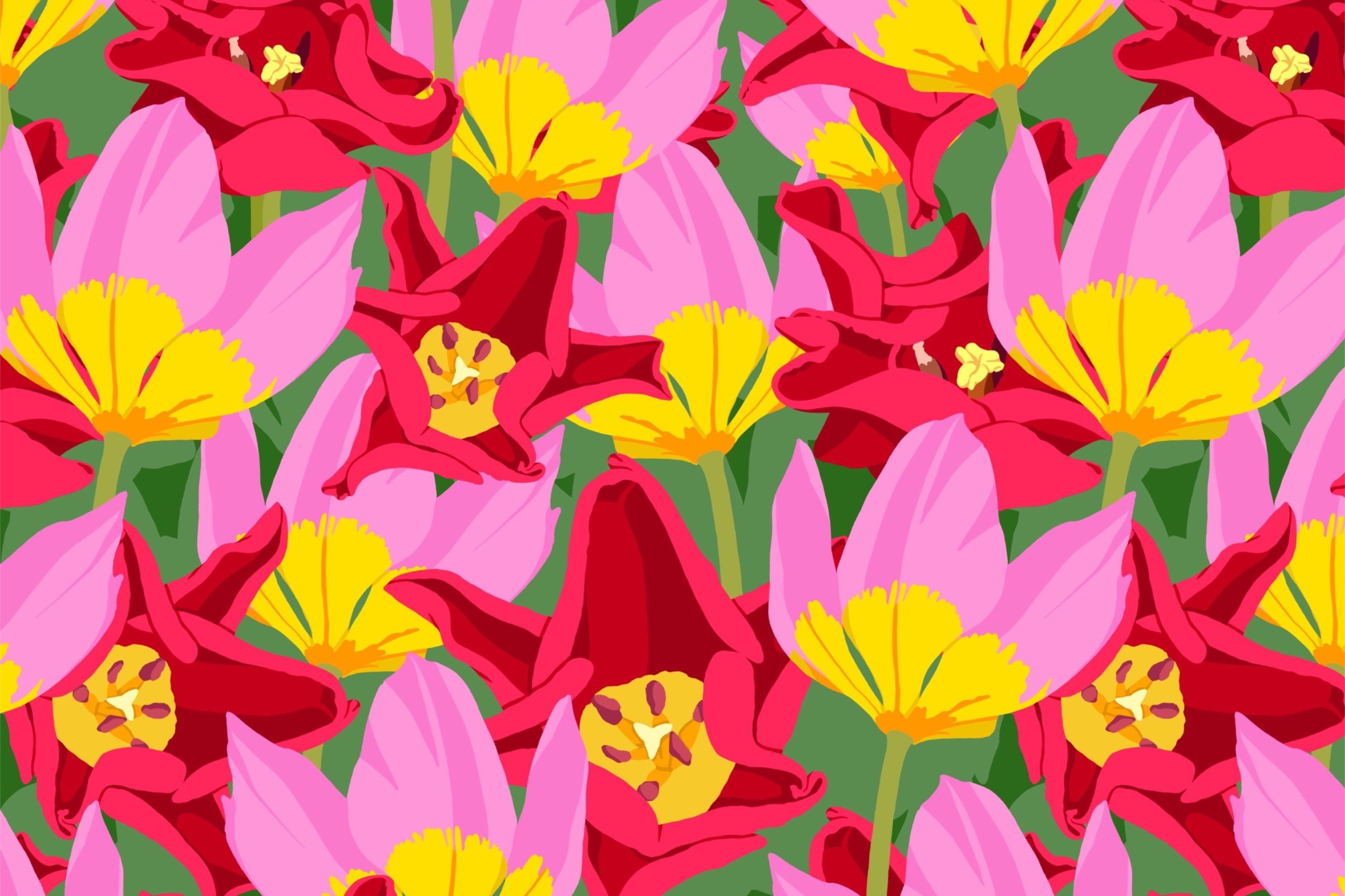Tulips Clipart Spring Flowers PNG Cartoon Tulips Floral Clipart Simple ...