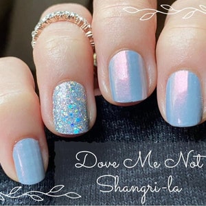 SALE Dove Me Not Color Street Hostess Exclusive Nail Polish Strips ...