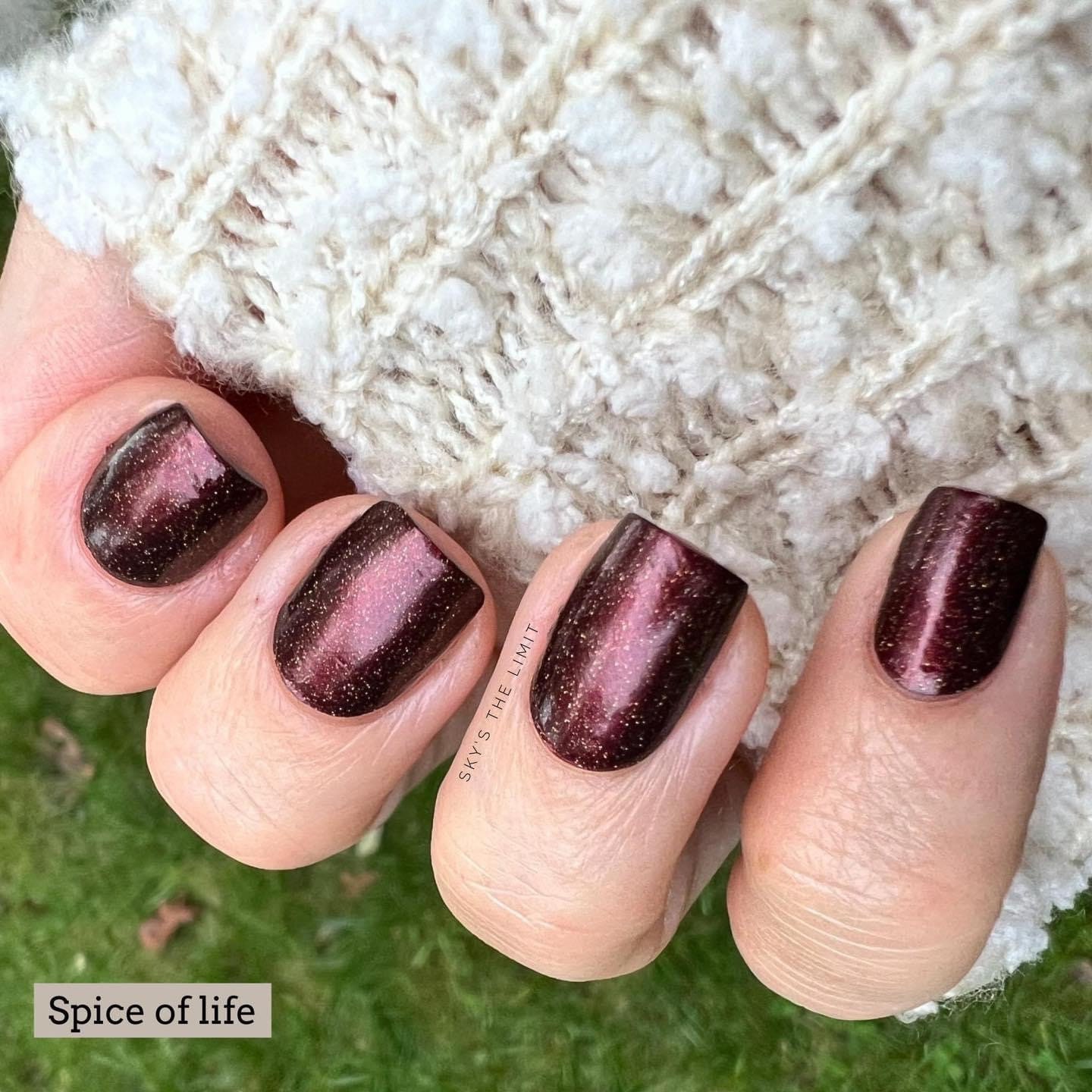 Spice of Life Color Street (brown Shimmer) Nail Polish Strips - Etsy