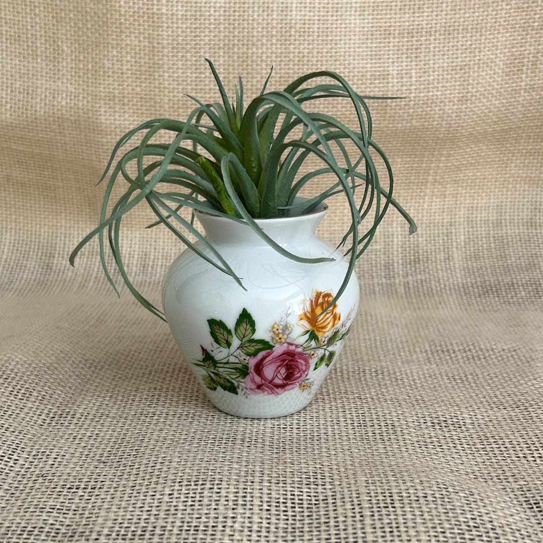 Vintage White Porcelain Short Vase With Roses3 3/4'' Vase With Rosebuds ...