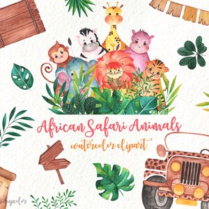 Jungle Animals Clipart Watercolor Animals Clipart Safari - Etsy