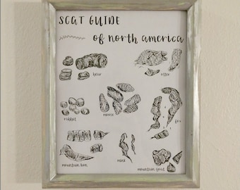 PRINTABLE Natural Animal Scat Poop Print - Wilderness Woodland Wildlife ...