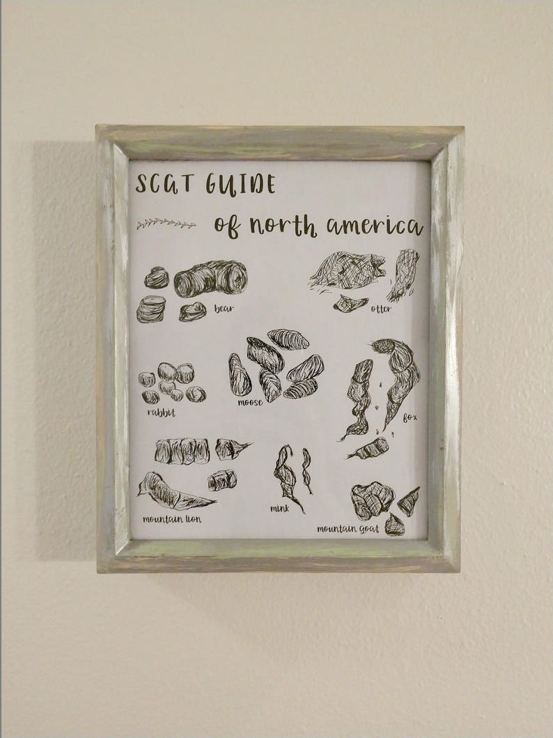 Animal Track and Scat Poop Guide 2 Prints Wilderness - Etsy