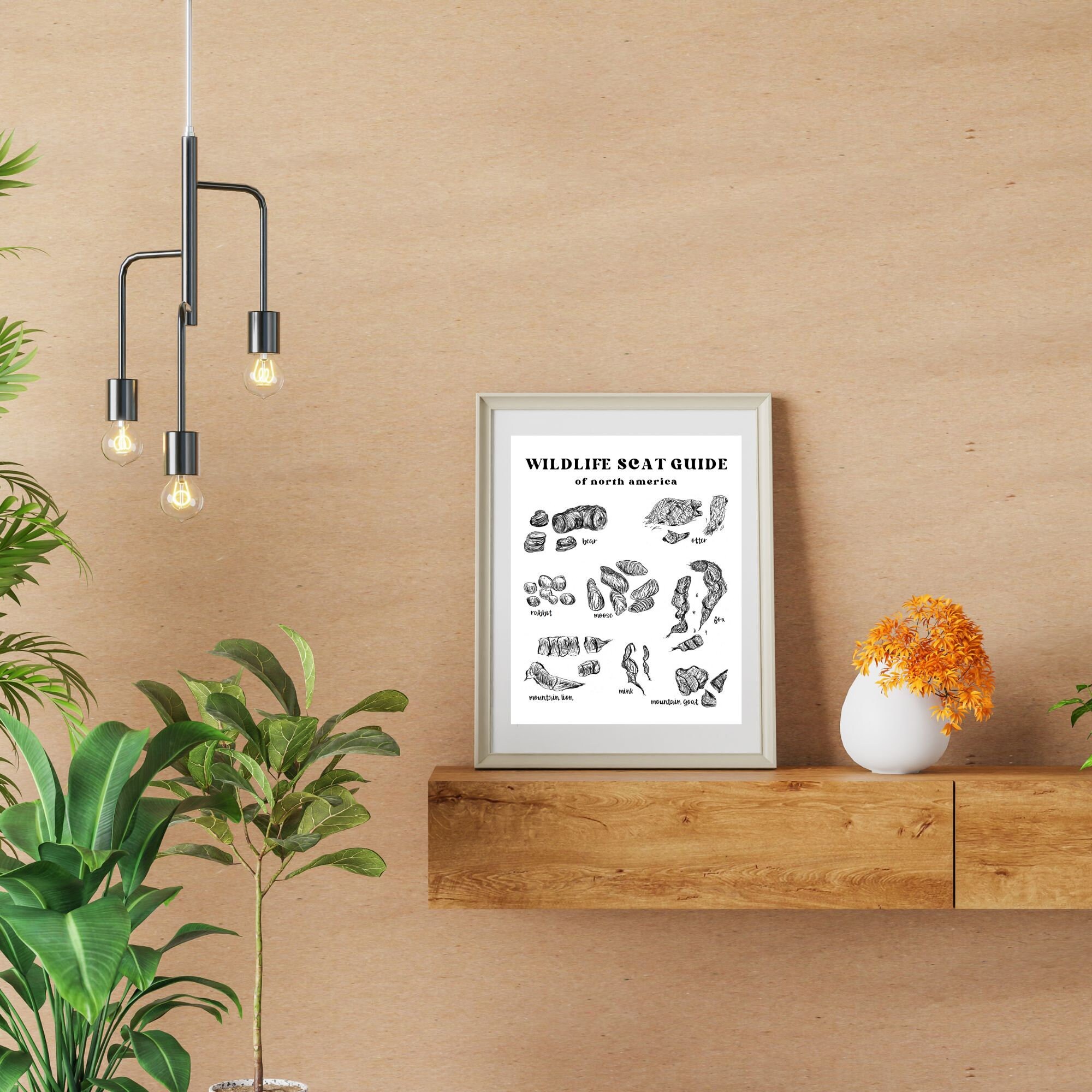 PRINTABLE Animal Scat Poop Print - Wilderness Woodland Wildlife Nature ...