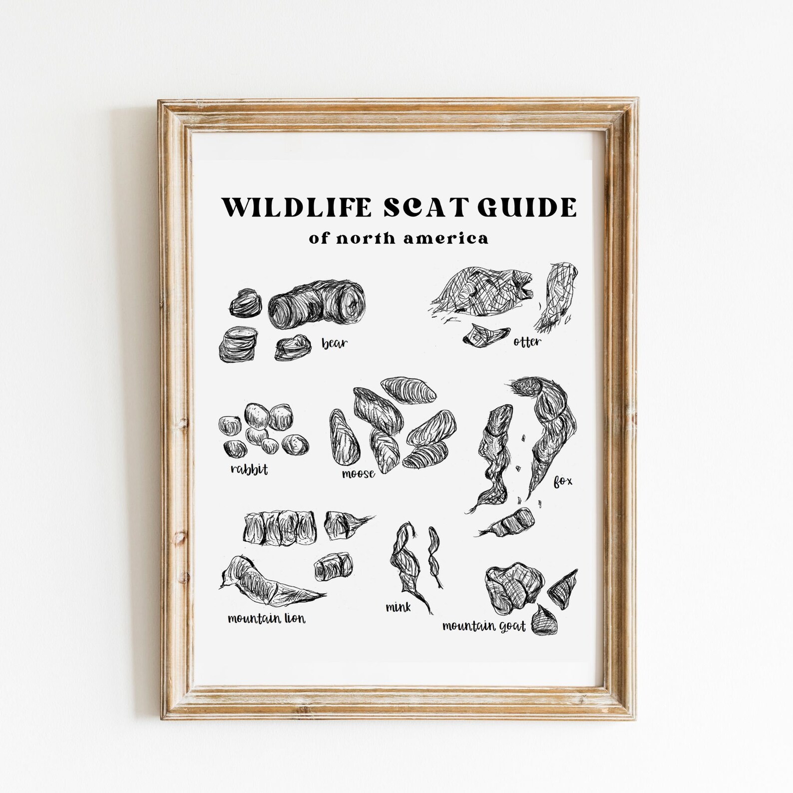 PRINTABLE Animal Scat Poop Print - Wilderness Woodland Wildlife Nature ...