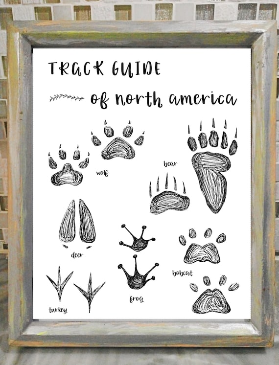 PRINTABLE Animal Track Print Guide Wilderness Wildlife | Etsy