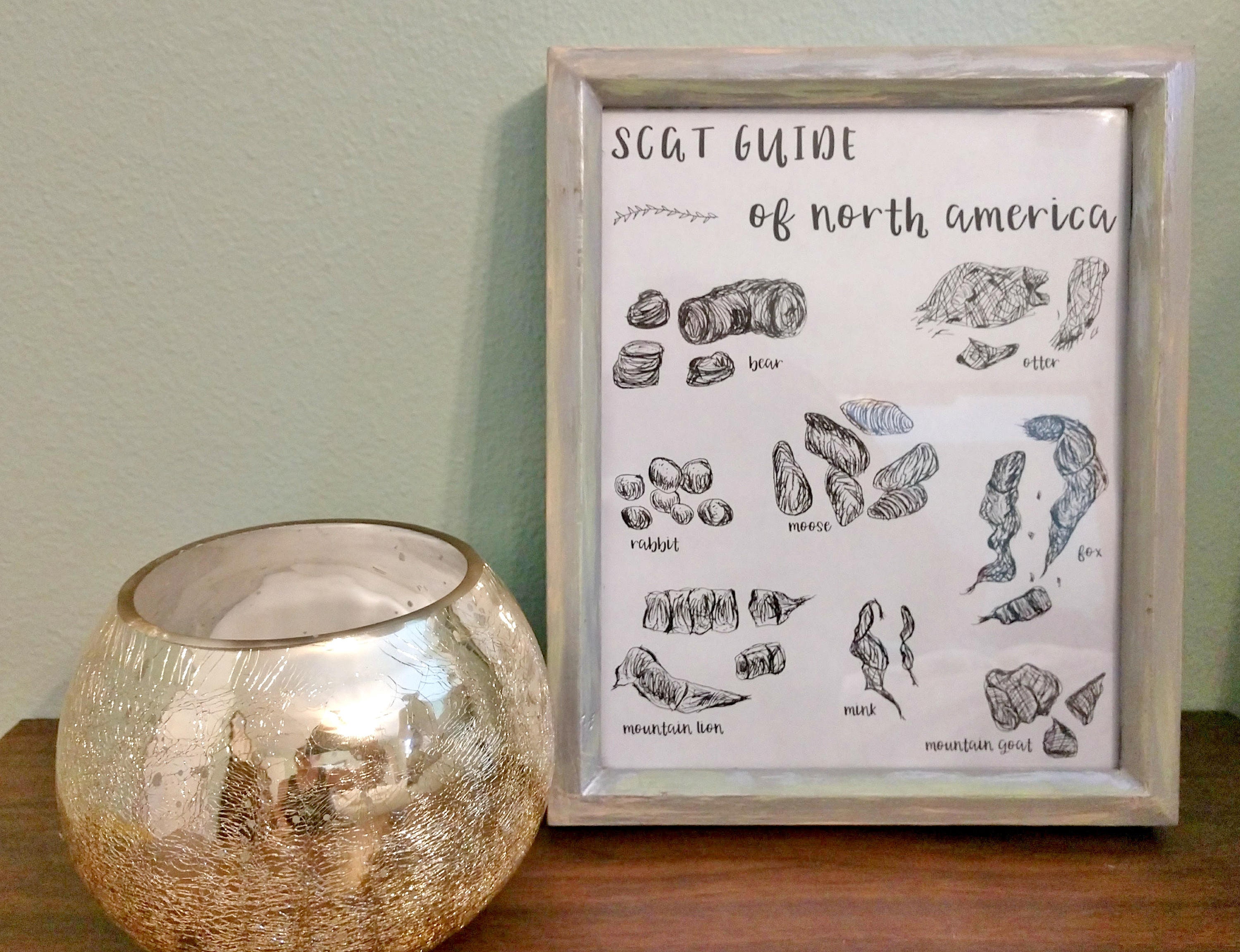 Animal Track and Scat Poop Guide 2 Prints Wilderness - Etsy