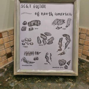 Animal Track and Scat Poop Guide, 2 Prints, Wilderness Wildlife Hunting ...