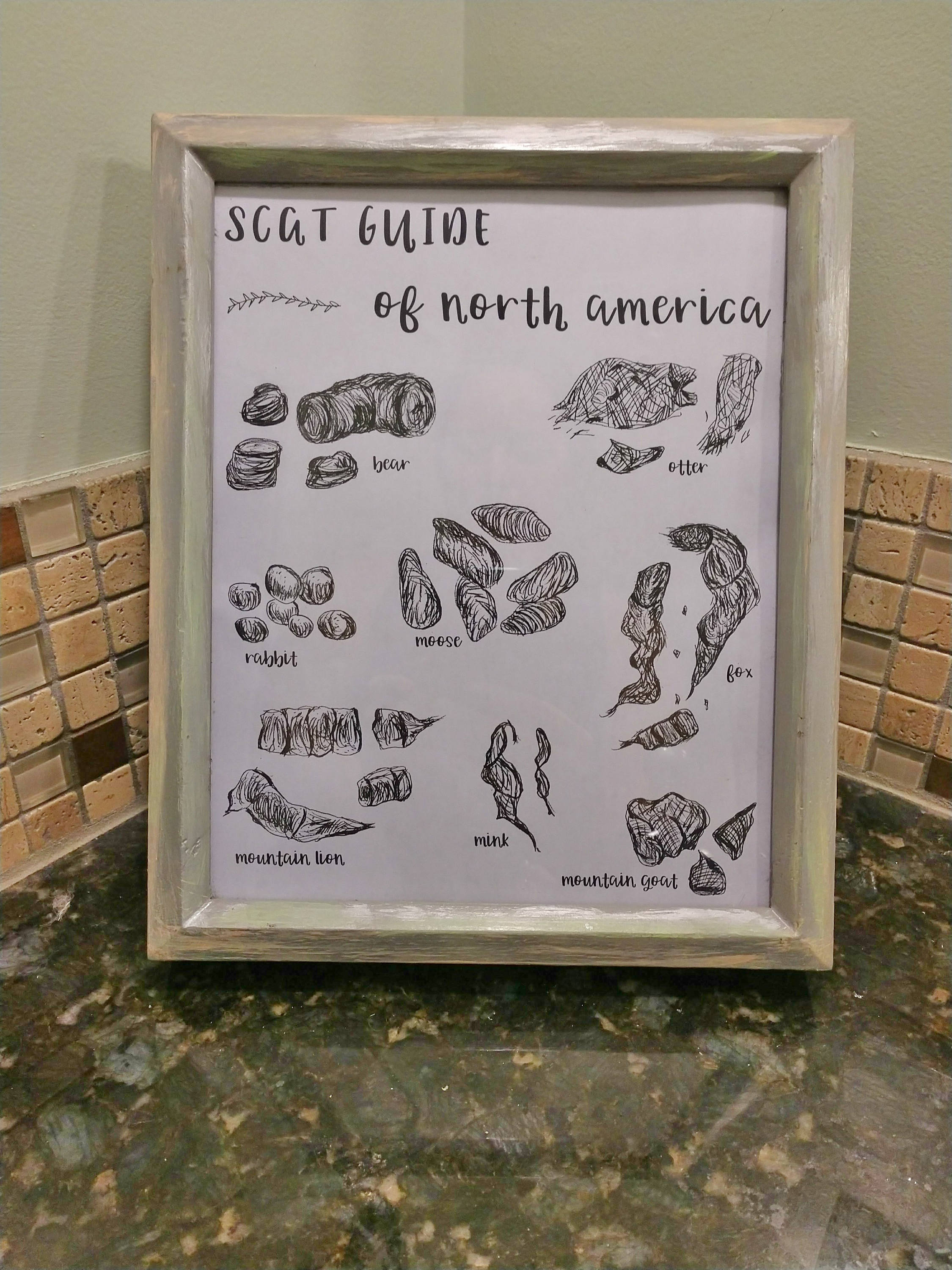 Animal Track and Scat Poop Guide, 2 Prints, Wilderness Wildlife Hunting ...
