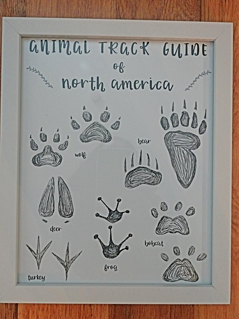 PRINTABLE Animal Track Print Guide, Wilderness Wildlife Hunting ...