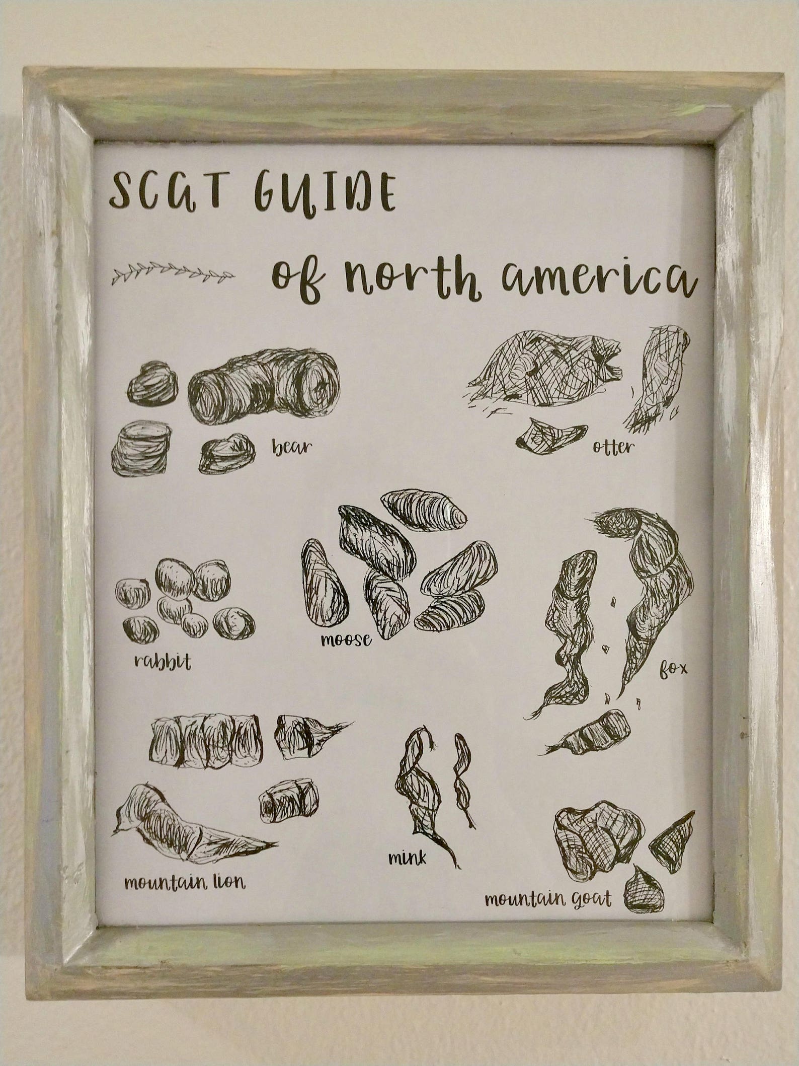 Animal Track and Scat Poop Guide, 2 Prints, Wilderness Wildlife Hunting ...