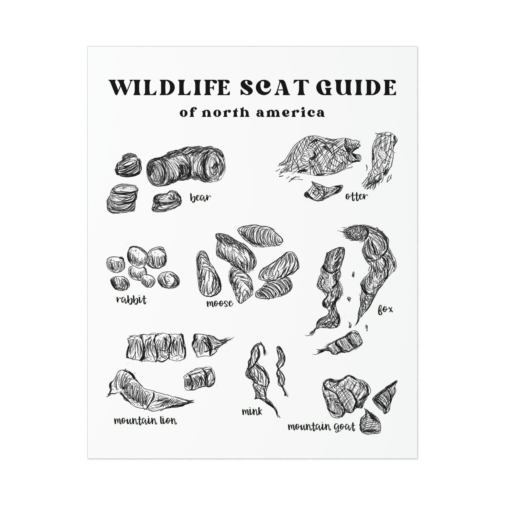 Natural Animal Scat Poop Print - Wilderness Woodland Wildlife Nature ...